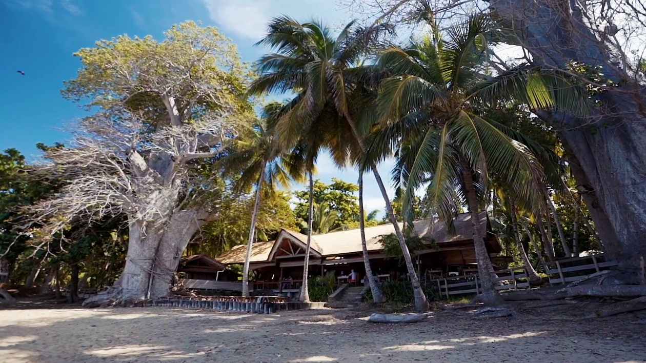 Le Jardin Maoré Mayotte | MILLE TOURS